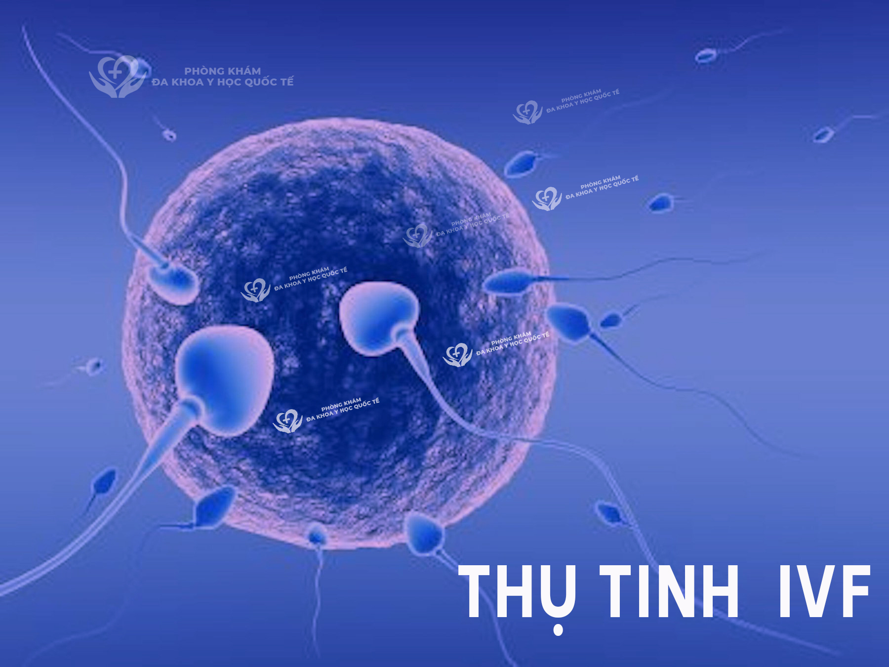 Thai ivf có đi xe máy được không? Người mang thai IVF phải biết